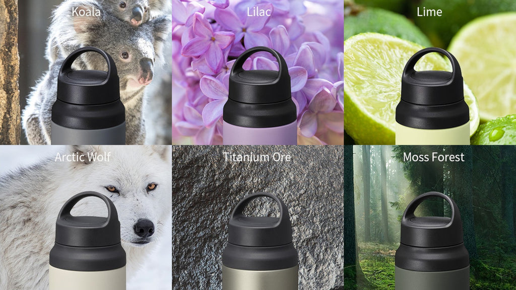 Tiger Bottle France – Tiger France